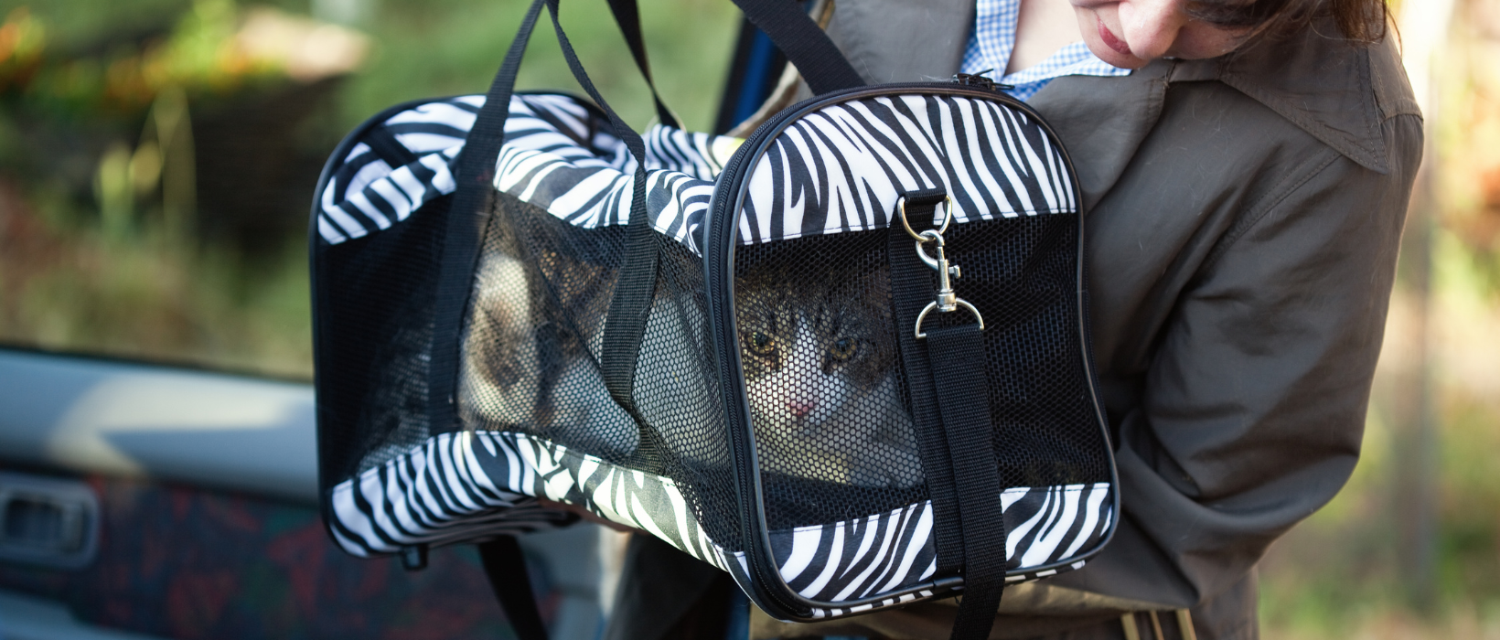 Ensuring Pet Safety: The Crucial Role of a Pet Carrier – My Family Pet ...